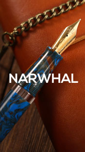 Pineider Arman Trilogy Limited Edition Fountain Pen